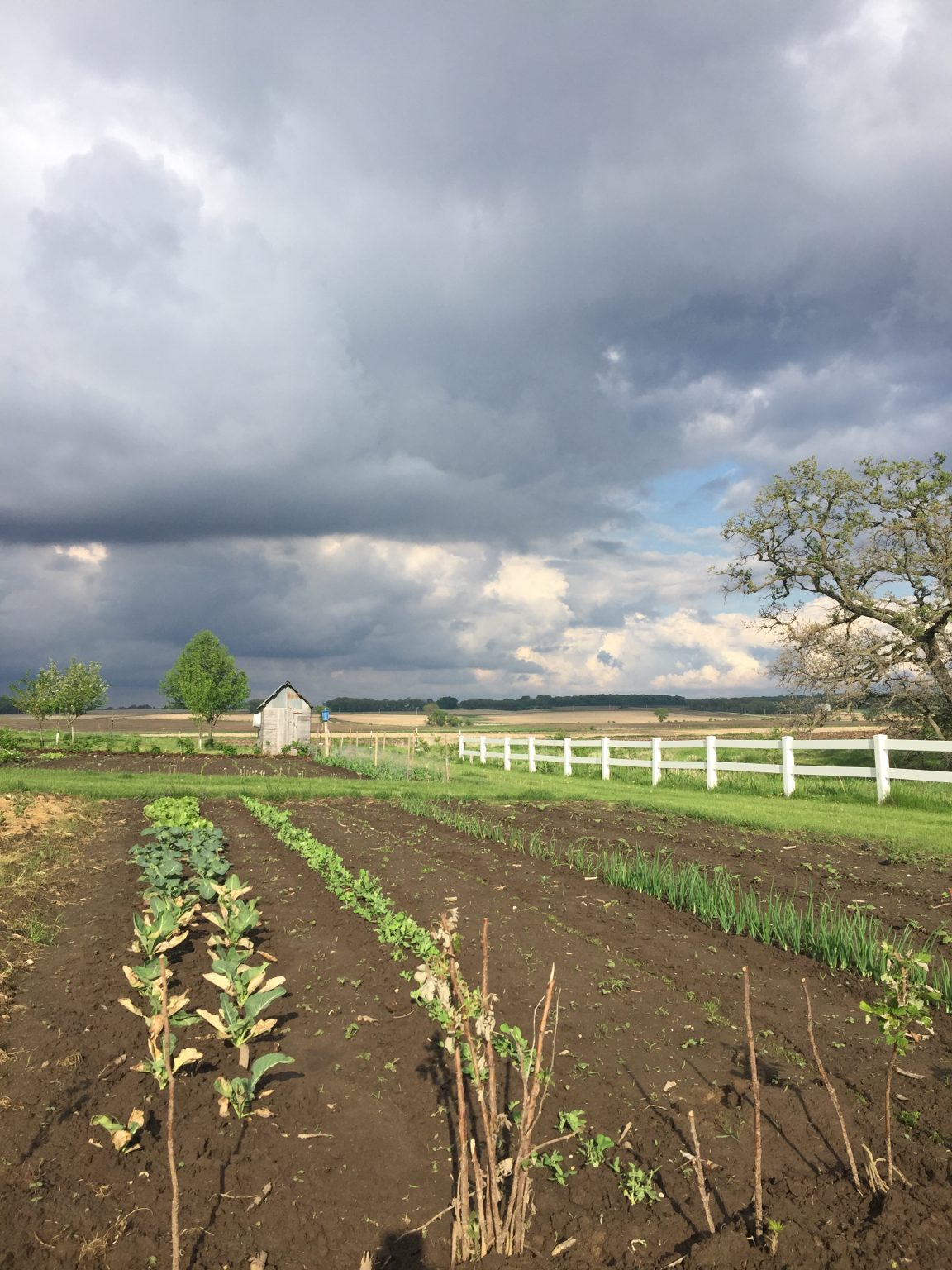 A Mennonite Heritage – Homestead Mamas