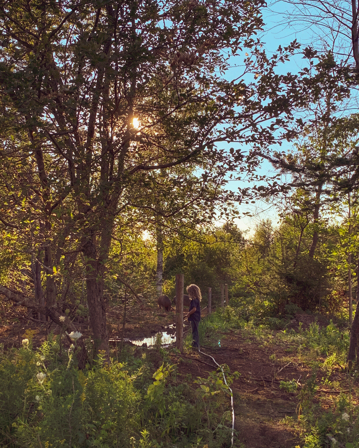 Living on Purpose – Homestead Mamas