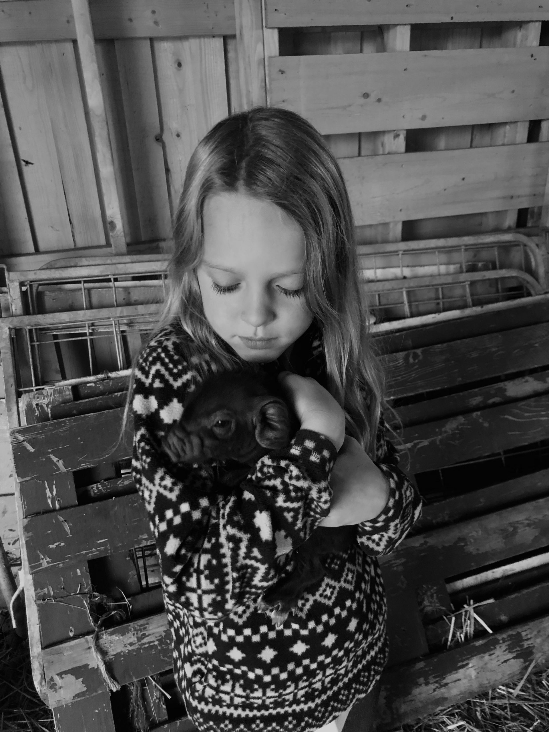 Living on Purpose – Homestead Mamas