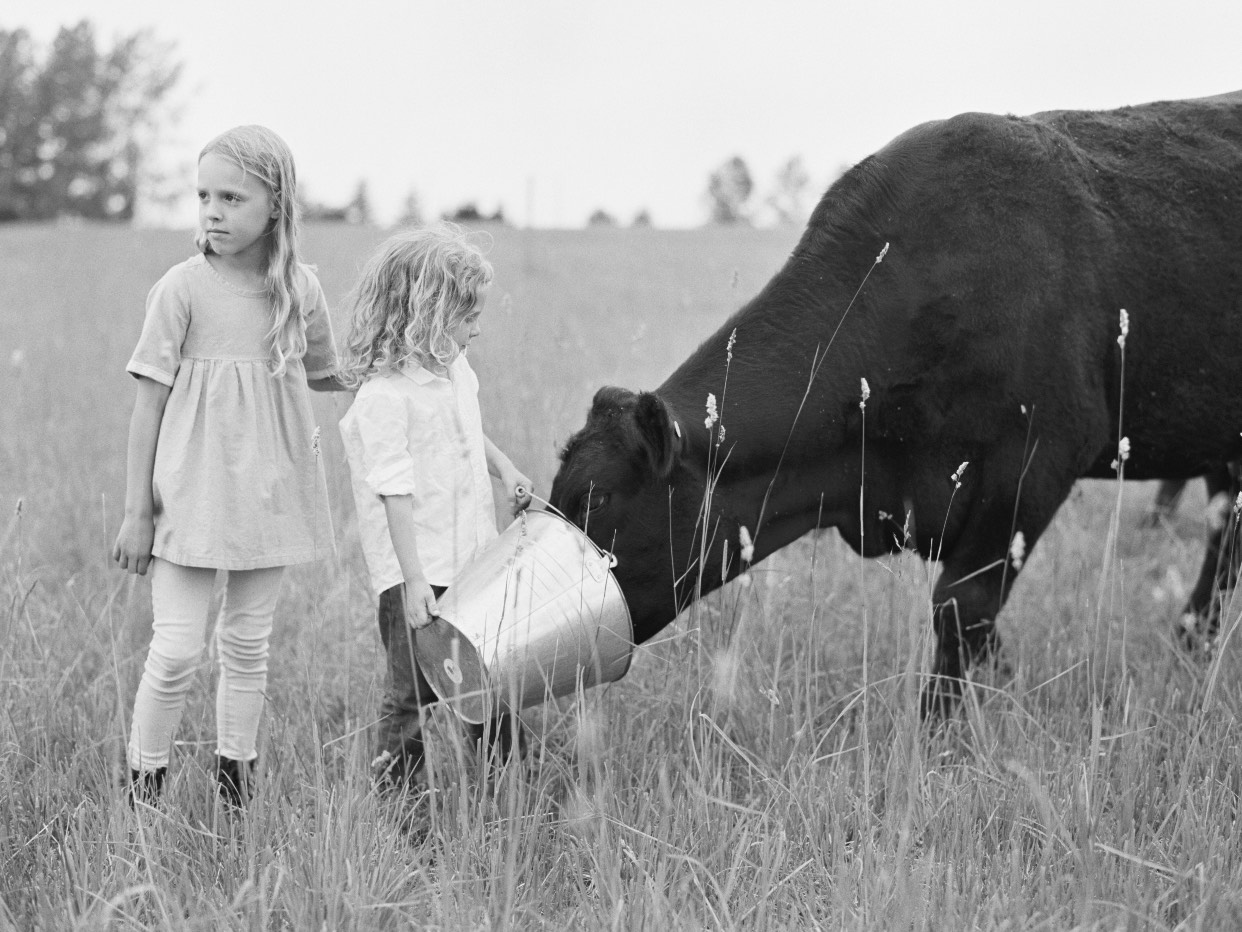 Living on Purpose – Homestead Mamas