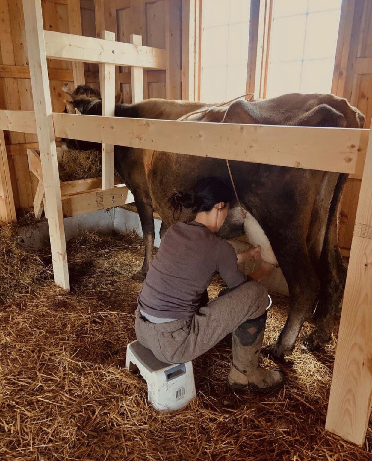 Living on Purpose – Homestead Mamas
