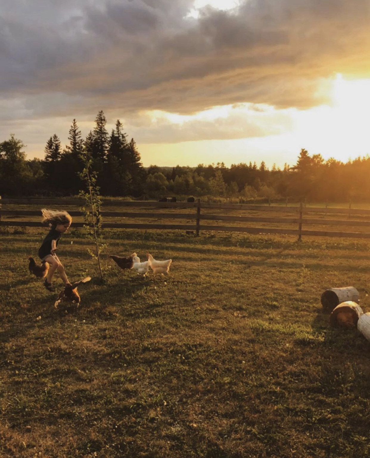 Living on Purpose – Homestead Mamas