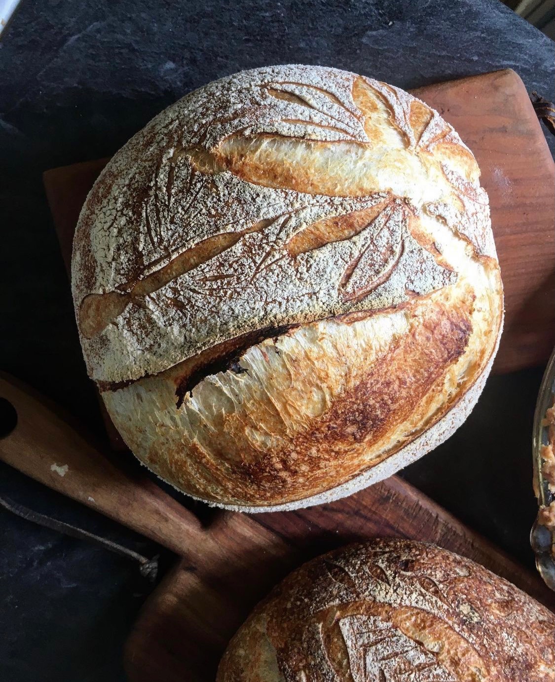 Building a Levain – Homestead Mamas