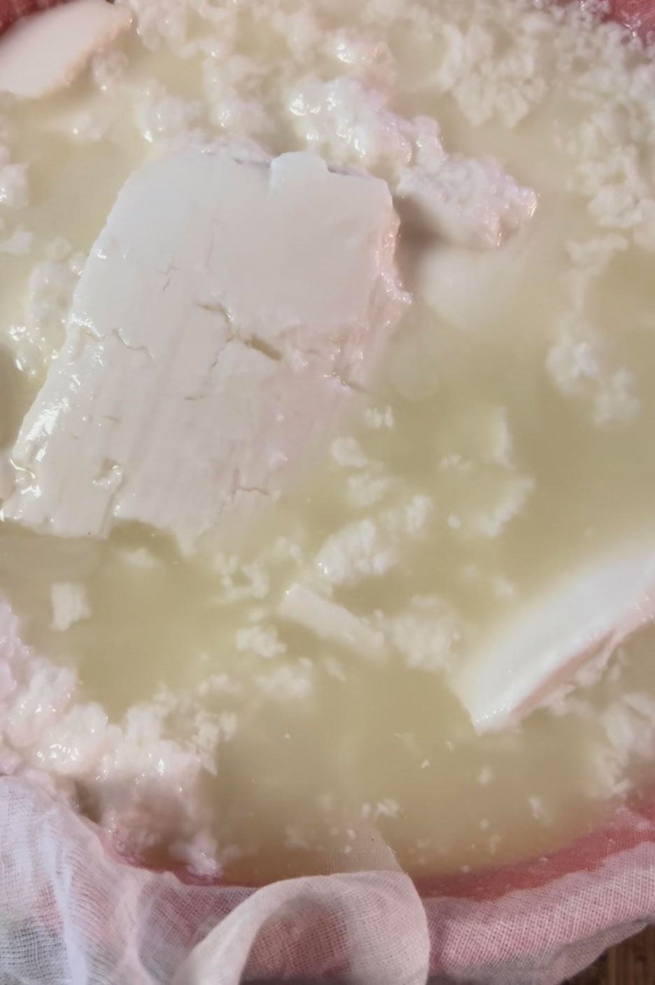 Raw Milk Cheese – Homestead Mamas